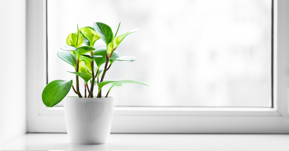 Okapnice i potprozorske klupice za PVC prozore - Megaplast